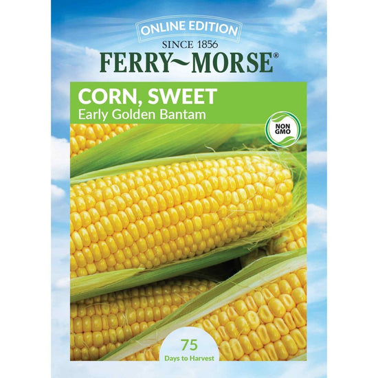 Sweet Corn, Early Golden Bantam Seeds | Garden-To-Table | Ferry-Morse