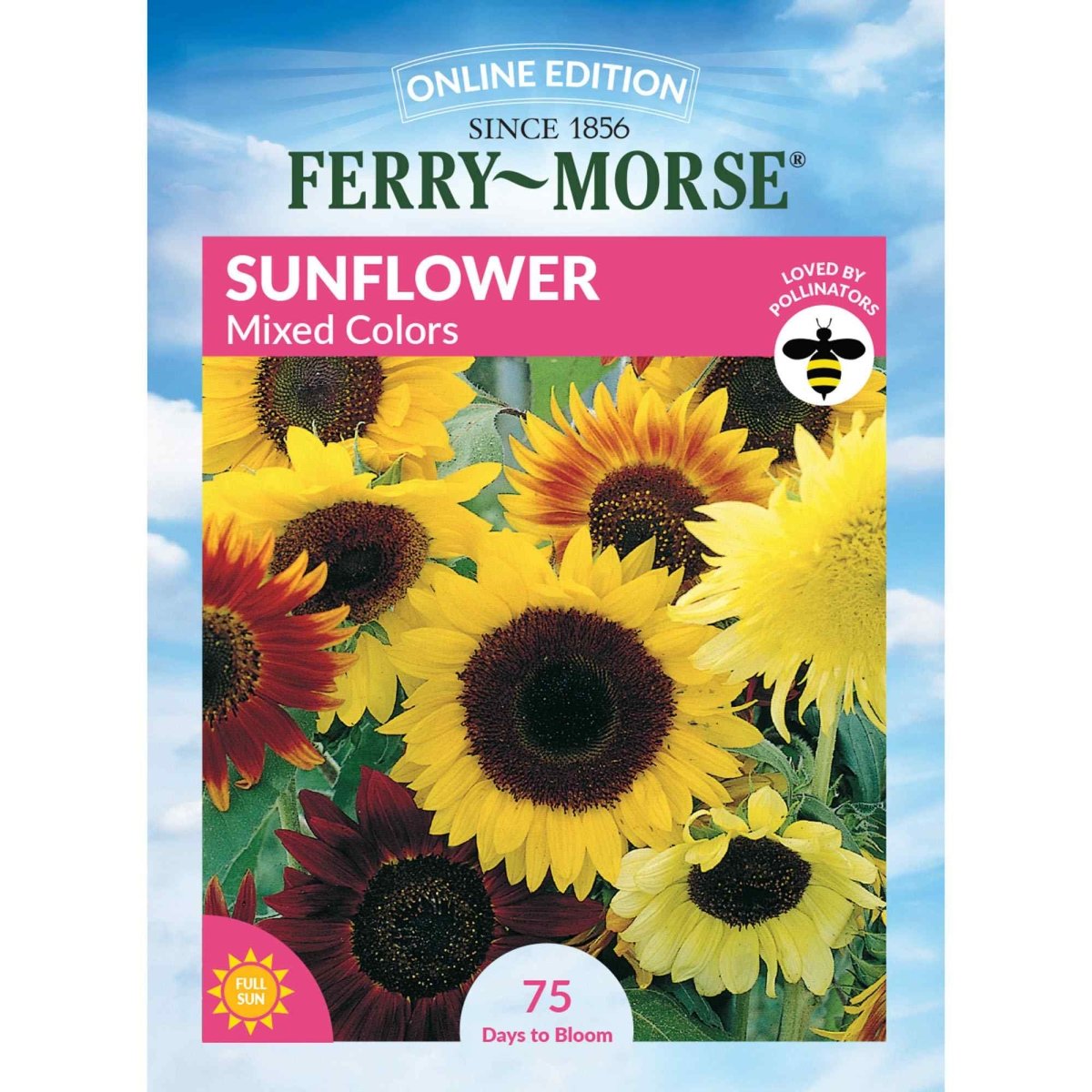Sunflower, Mixed Colors Seeds | Easy To Grow Flowers | Ferry-Morse