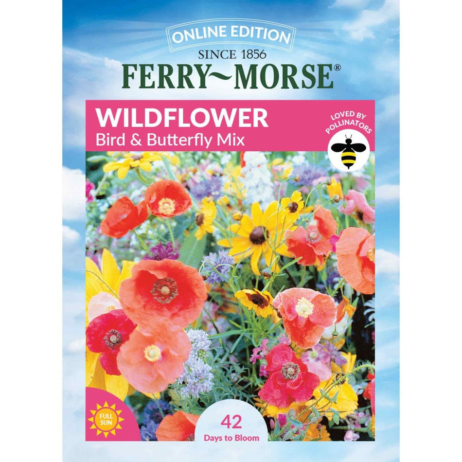 Wildflower Bird and Butterfly Mix Seeds | Wildflower Seeds | Colorful ...