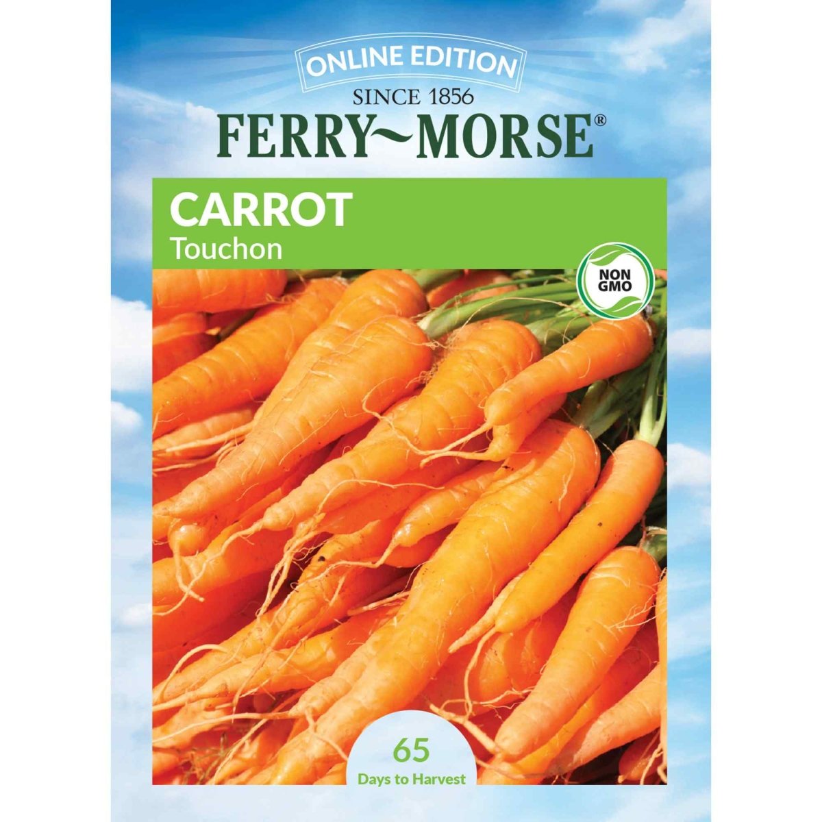 Carrot Touchon Seeds | Vegetable Gardening | French Carrot Variety ...