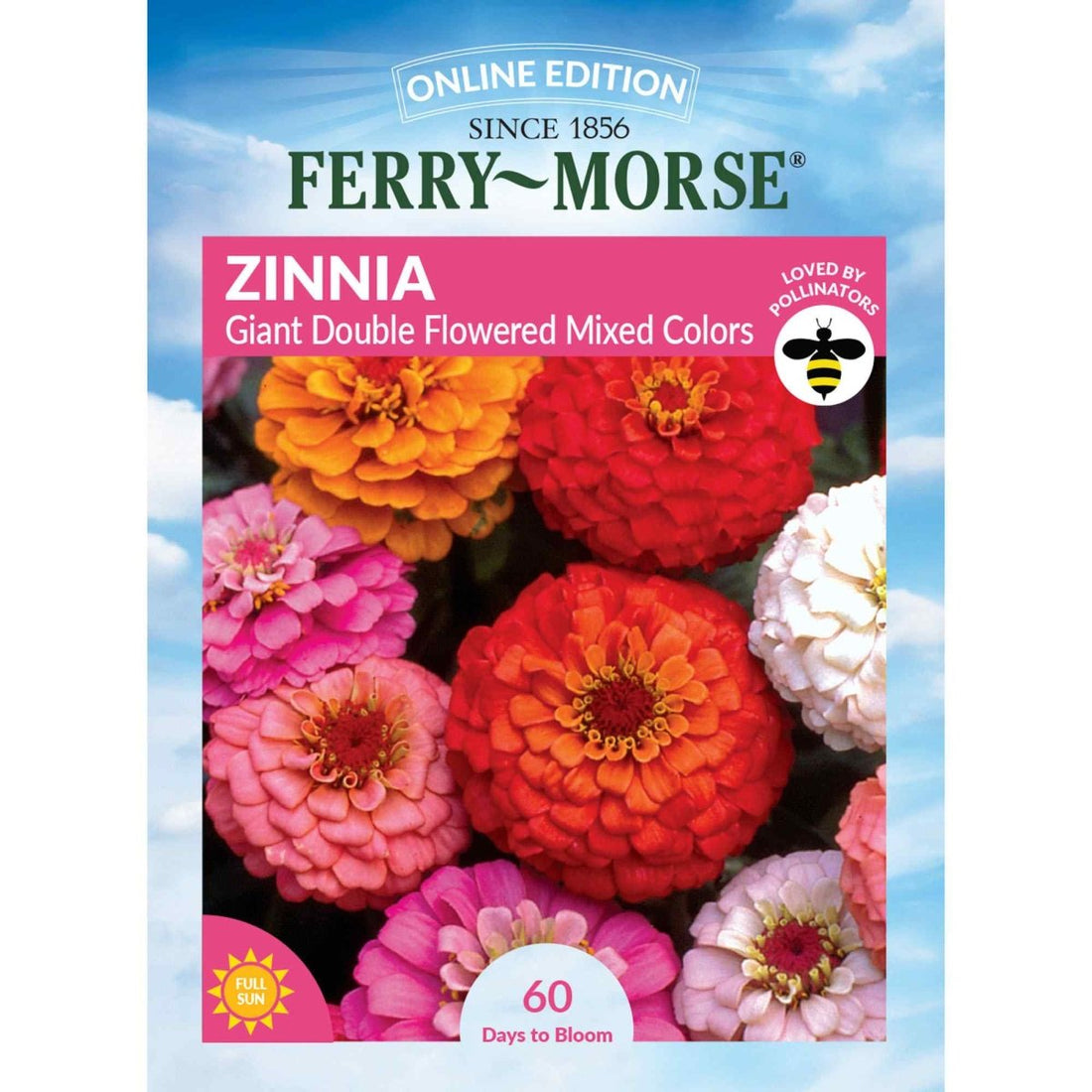 Zinnia, Giant Double Flowered Mixed Colors Seeds | Cut Flowers – Ferry ...
