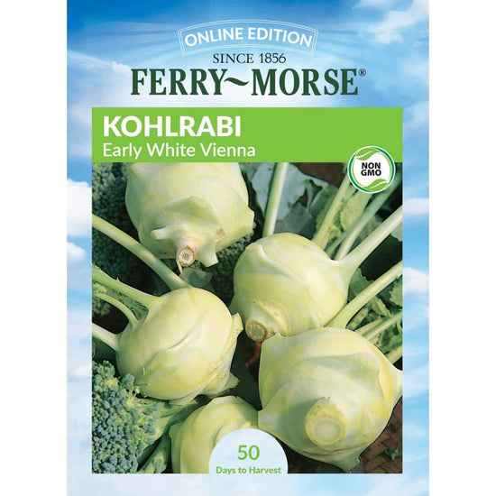 Kohlrabi, Early White Vienna Seeds | Cool-Season Vegetable – Ferry-Morse