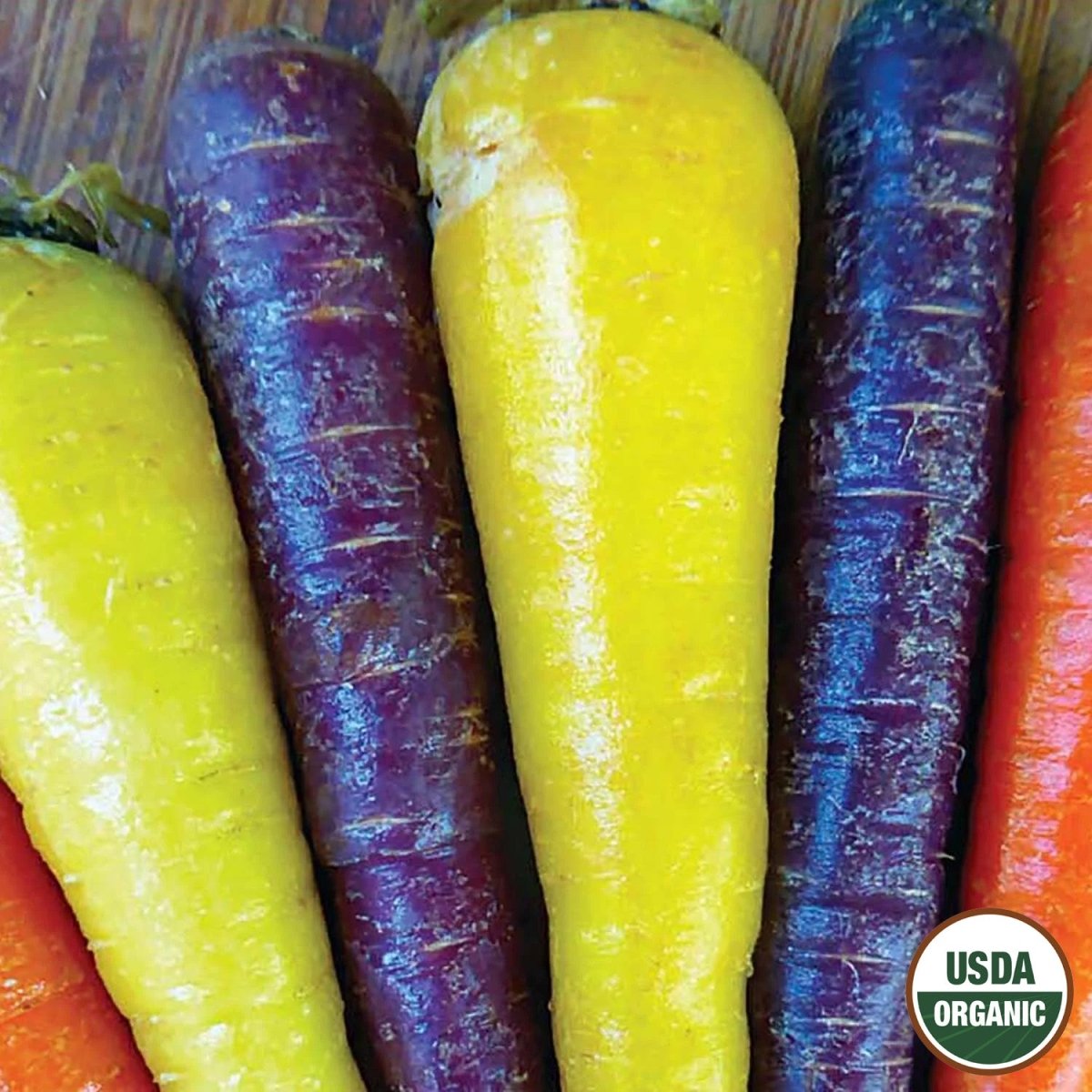 Carrot, Rainbow Mix Organic Seeds | Organic Carrots | Colorful Carrots ...