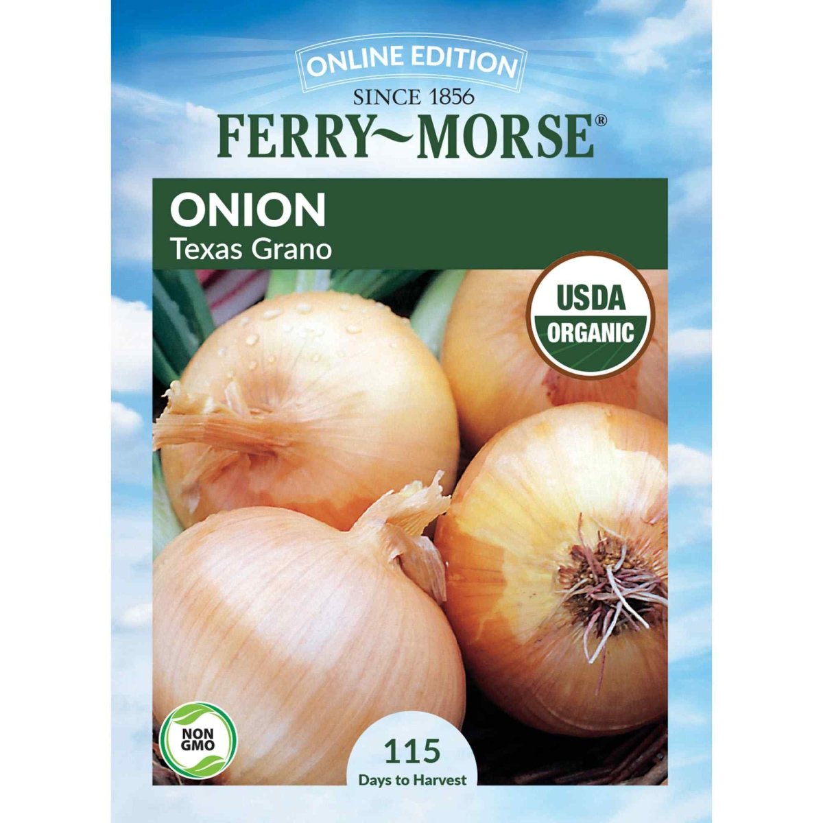 Onion, Texas Grano Organic Seeds | Sweet Onions | Heirloom Onions ...