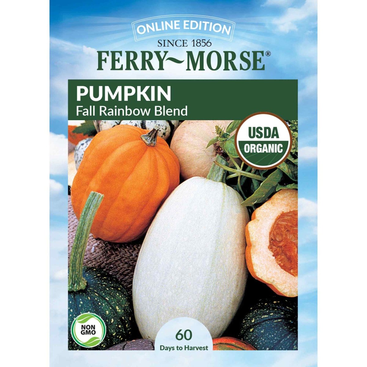 Pumpkin Fall Rainbow Blend Seeds | Mixed Pumpkin Variety | Ferry-Morse