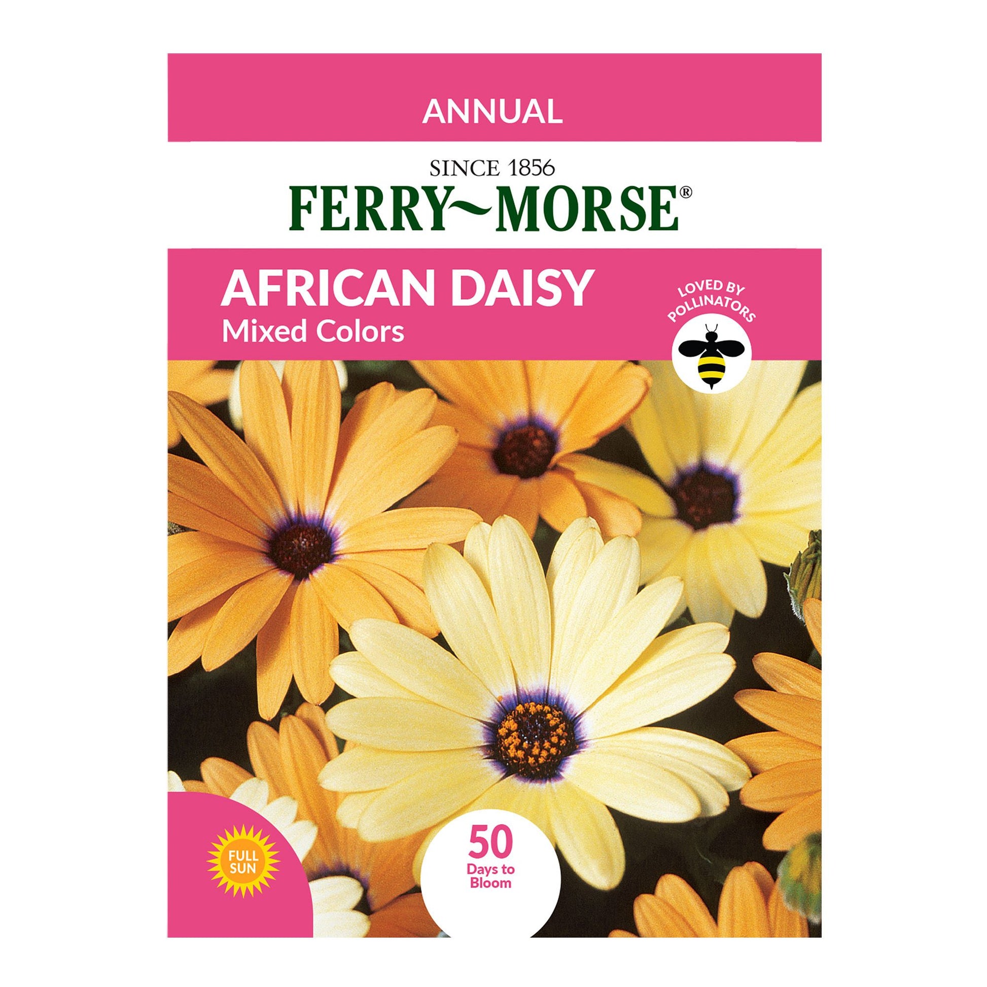 African Daisy, Mixed Colors Seeds | Annual Flower Garden | Ferry-Morse