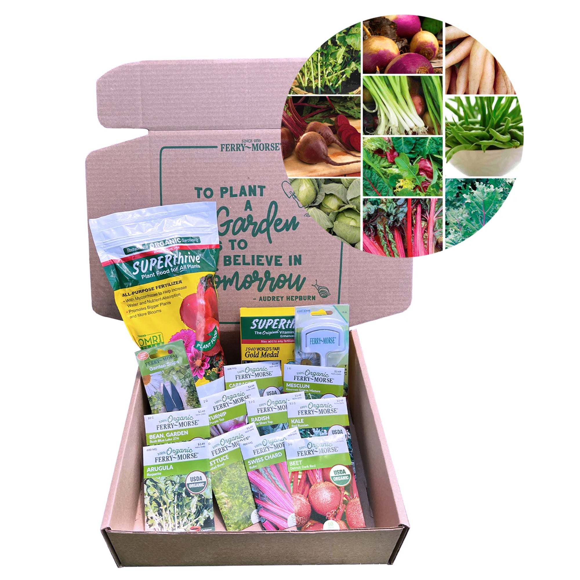 Grow-Your-Own Fall Harvest Garden Kit | Fresh Seasonal Veggies & Herbs ...