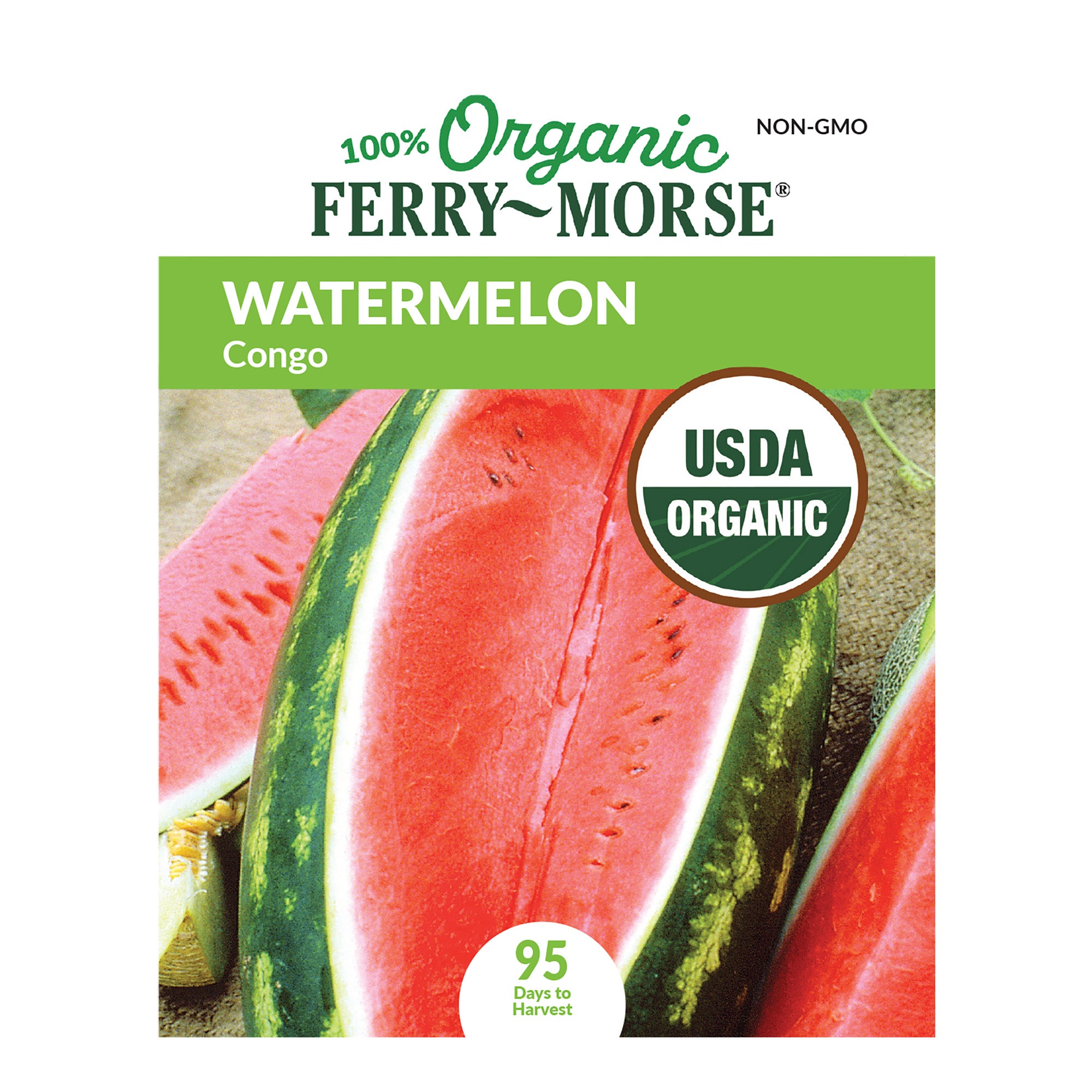 Watermelon, Congo Annual Fruit Organic Seeds – Ferry-Morse