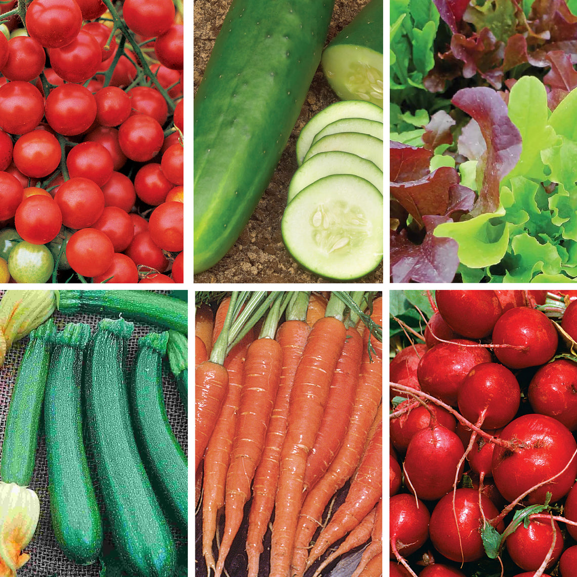 Heirloom Vegetable Seed Variety Pack – 6 Pack – Ferry-Morse