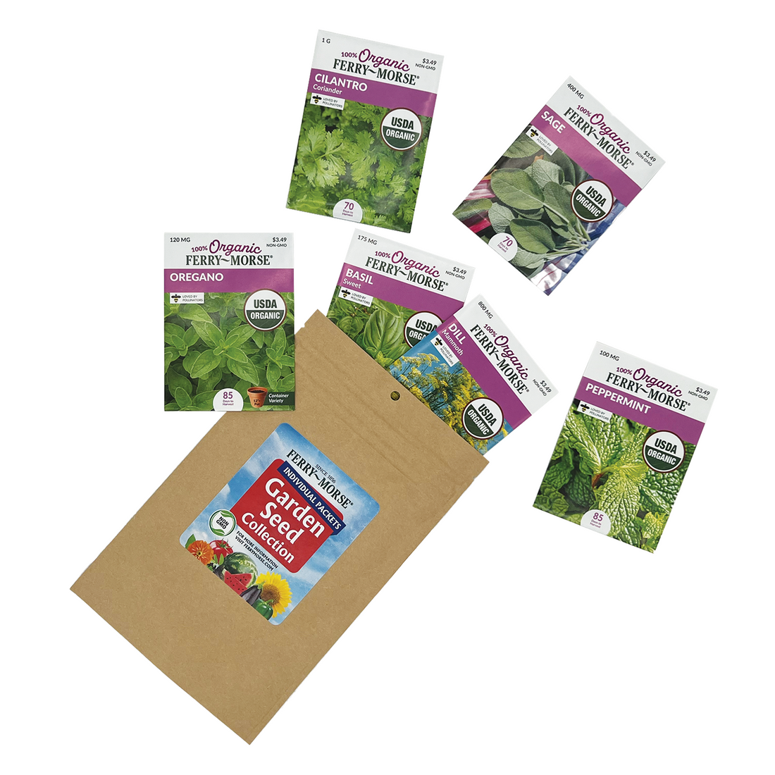 Herb Enthusiast Seed Bundle Grow Your Own Herb Garden With Ferry-Morse