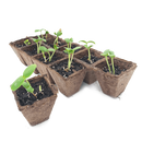 Jiffy-Strips 5 Pack of 10 Peat Cells for Seed Starting – Ferry-Morse