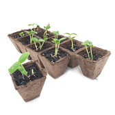Jiffy-Strips 5 Pack of 10 Peat Cells for Seed Starting – Ferry-Morse
