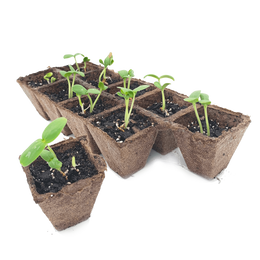 Jiffy-Strips 5 Pack of 10 Peat Cells for Seed Starting – Ferry-Morse