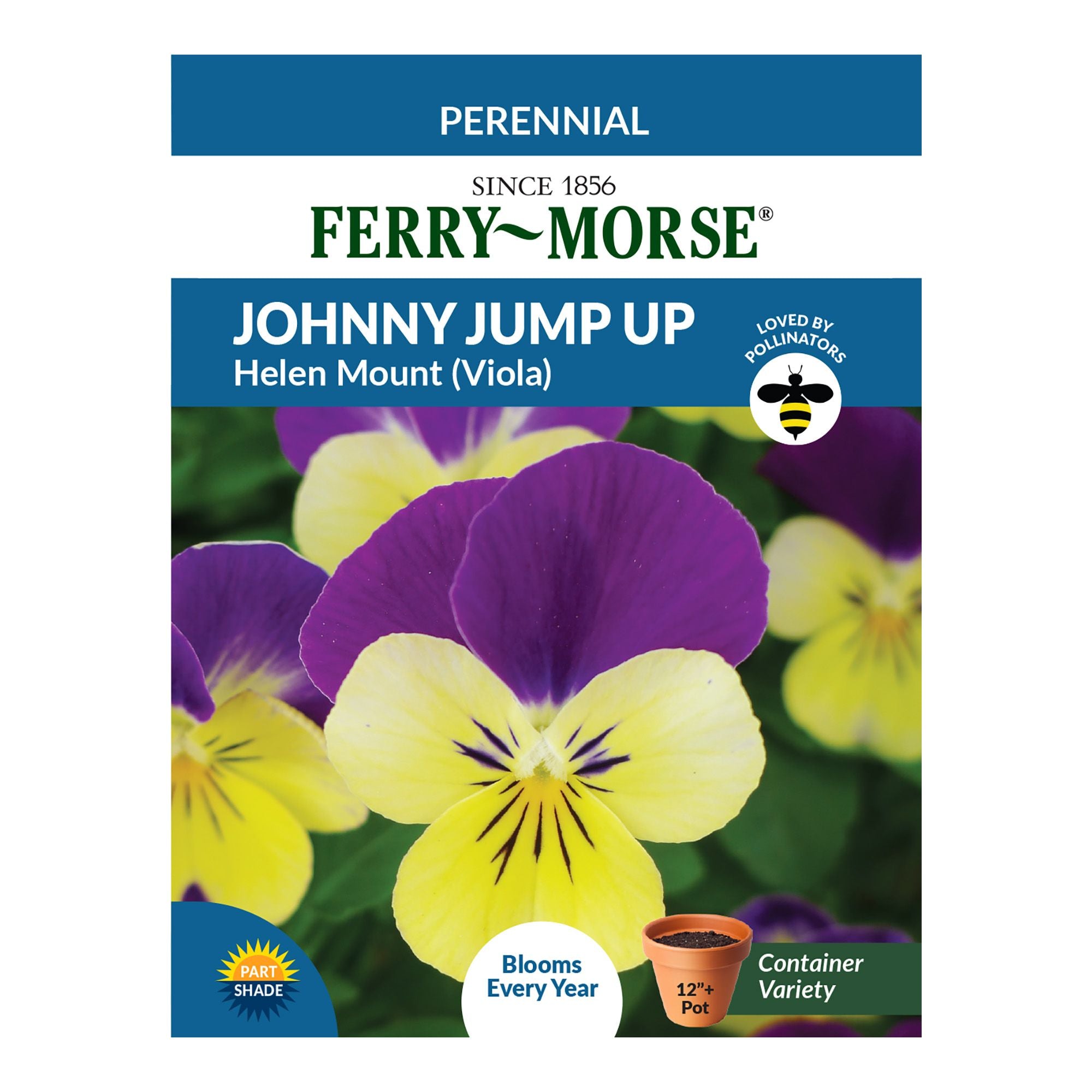 Johnny Jump Up, Helen Mount Seeds | Perennial Flower Garden – Ferry-Morse