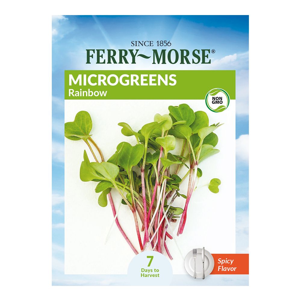Microgreens Rainbow Mix Seeds | Indoor Gardening | Microgreen Seeds ...