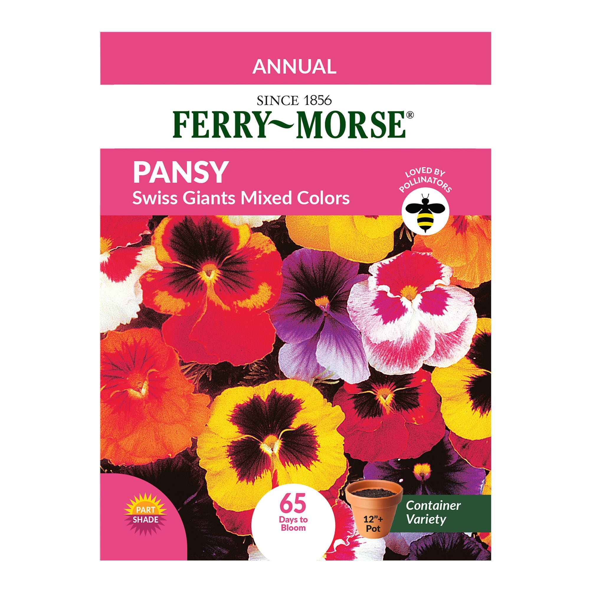 Pansy, Swiss Giants Mixed Colors Seeds | Bright Blooms | Easy to grow ...