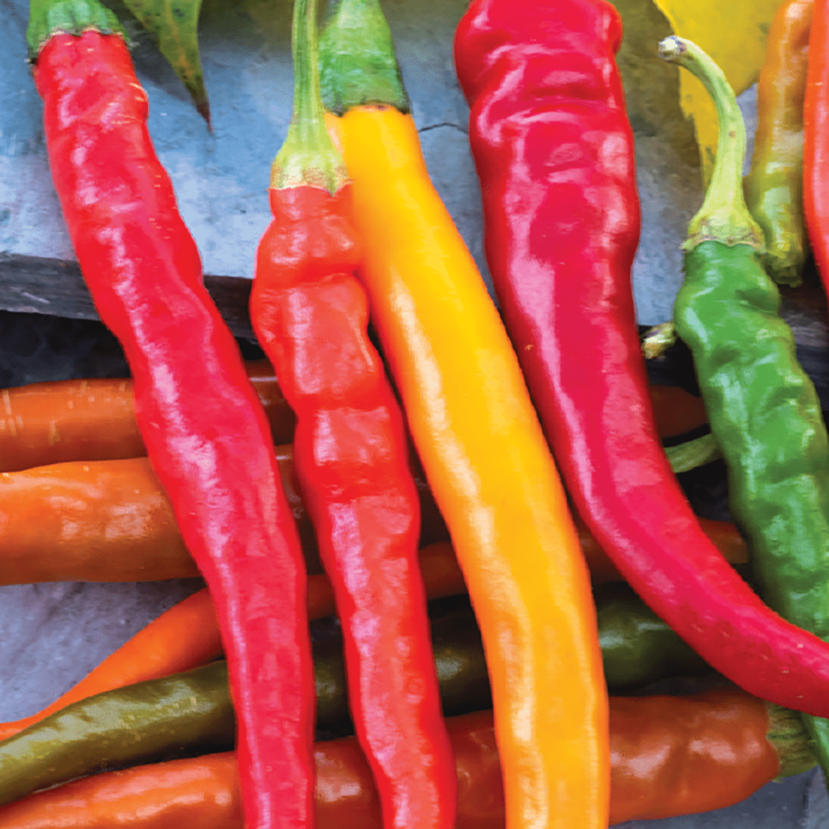 Pepper Cayenne Blend Seeds | Hot Pepper Seeds | Homegrown Hot Peppers ...