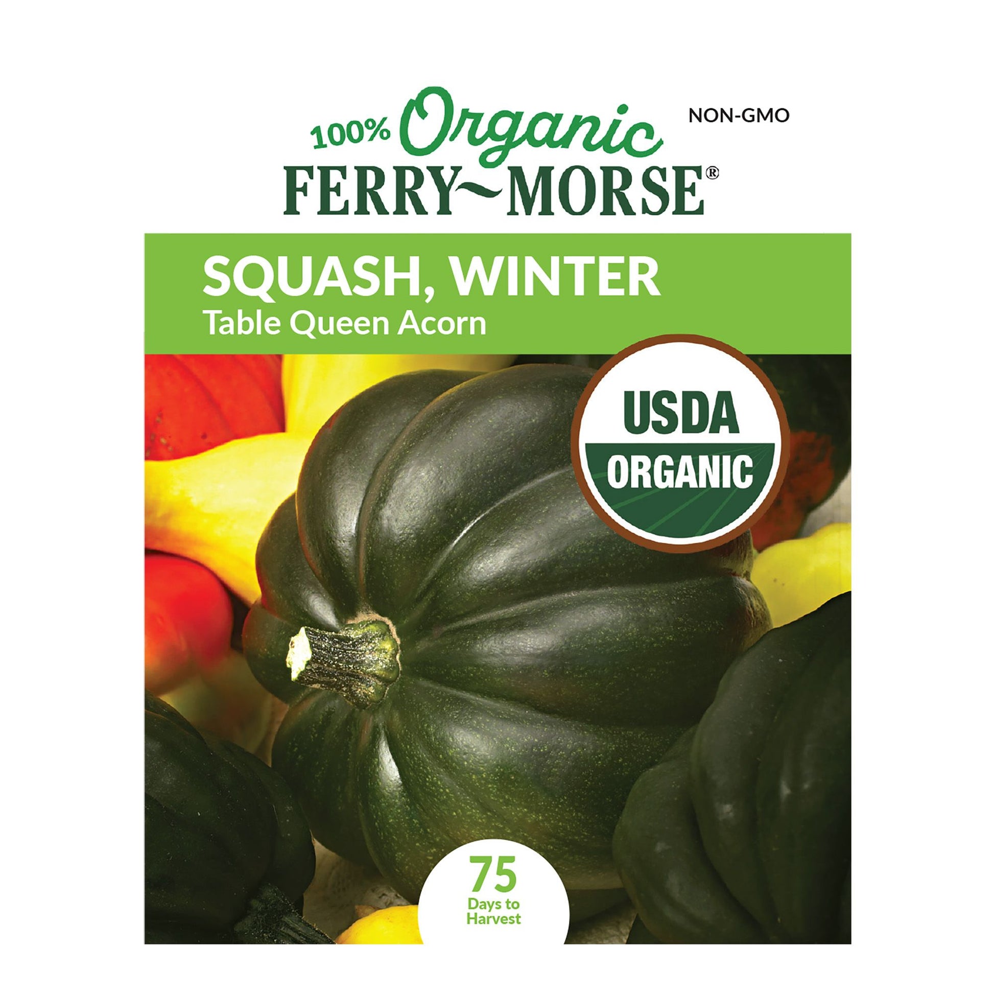 Squash, Table Queen Acorn Organic Seeds | Organic Squash | Ferry-Morse
