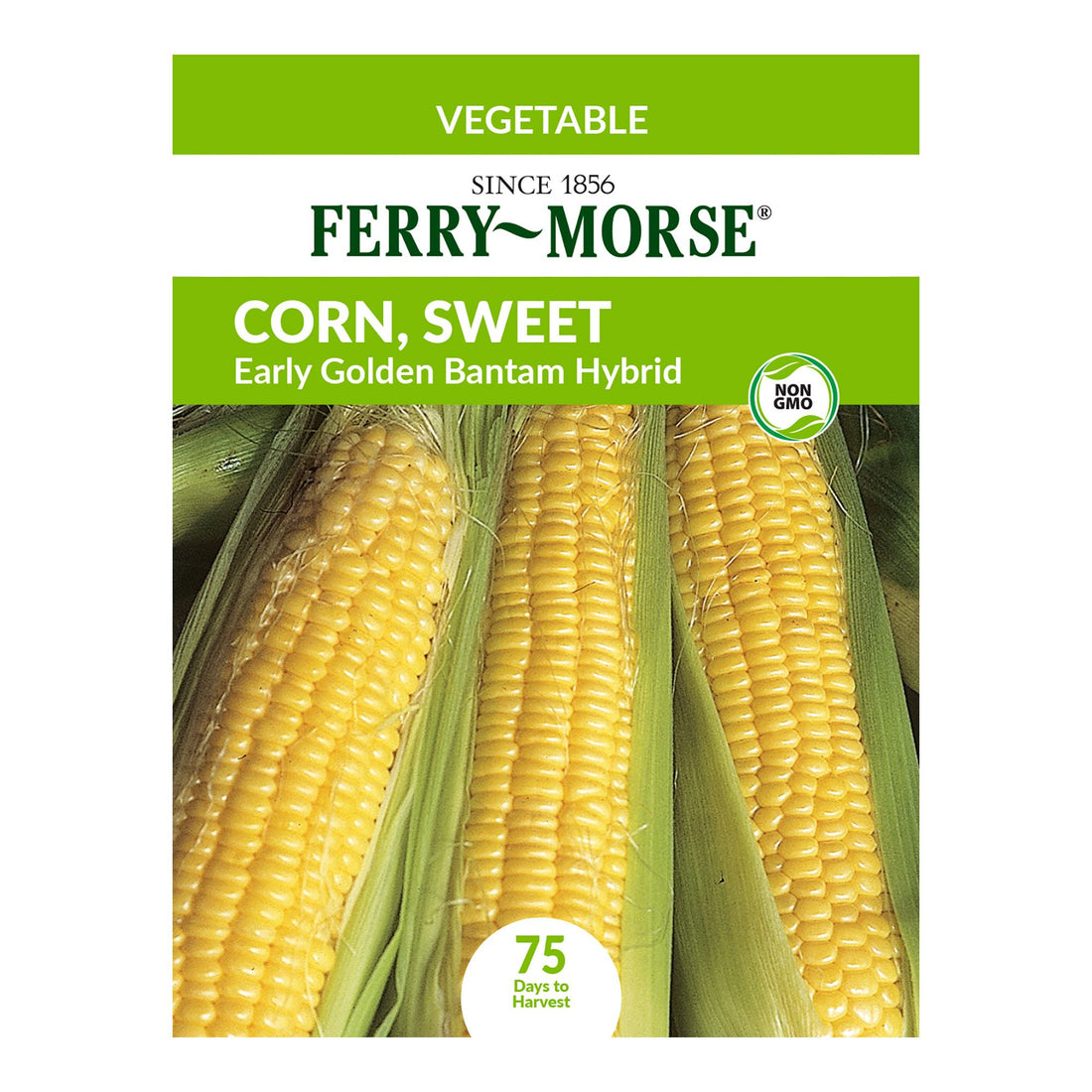 Sweet Corn, Early Golden Bantam Seeds | Garden-To-Table | Ferry-Morse