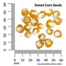 Sweet Corn, Early Golden Bantam Seeds | Garden-To-Table | Ferry-Morse