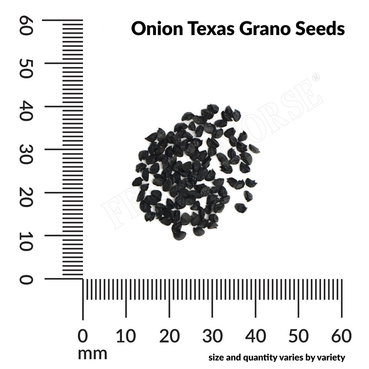 Onion, Texas Grano Organic Seeds | Sweet Onions | Heirloom Onions ...