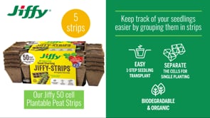 Jiffy-Strips 5 Pack of 10 Peat Cells for Seed Starting – Ferry-Morse