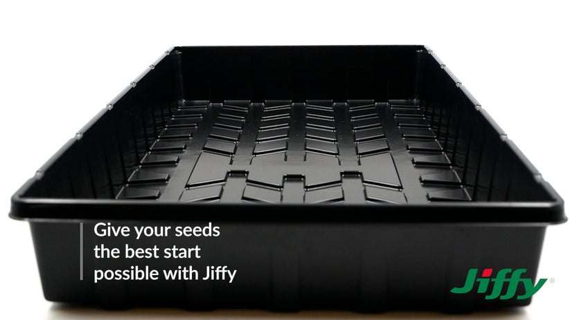 Jiffy Seed Starting Tray | Plastic Plant Tray | Sold at Ferry-Morse
