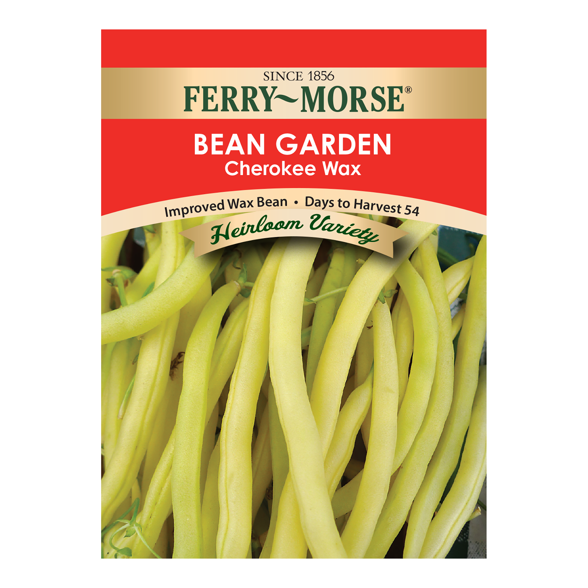 Cherokee Wax Bean Seeds – Ferry-Morse