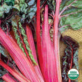 Swiss Chard, Ruby Organic Seeds | Cool Season Crop | Vegetable Garden ...